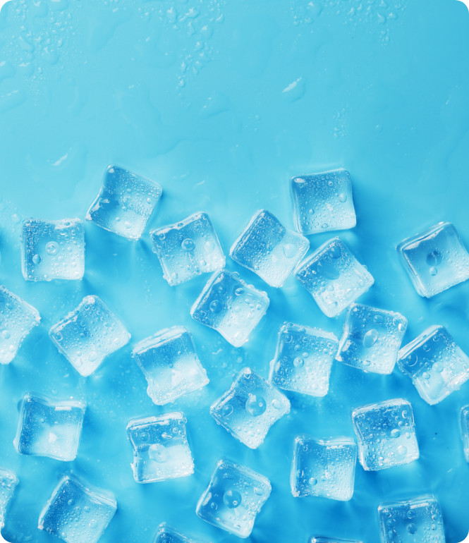 Mobile Cold Room & Freezer Rental: Keep Your Cool On-the-Go! | Cool ...